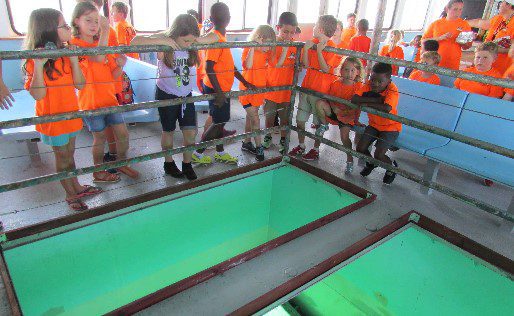 Shell Island Dolphin Sea-fari Boat Tour | Navarrebeach.com