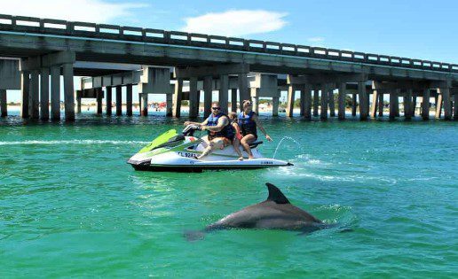 Waverunner Dolphin Excursion Departing From Harborwalk Village ...